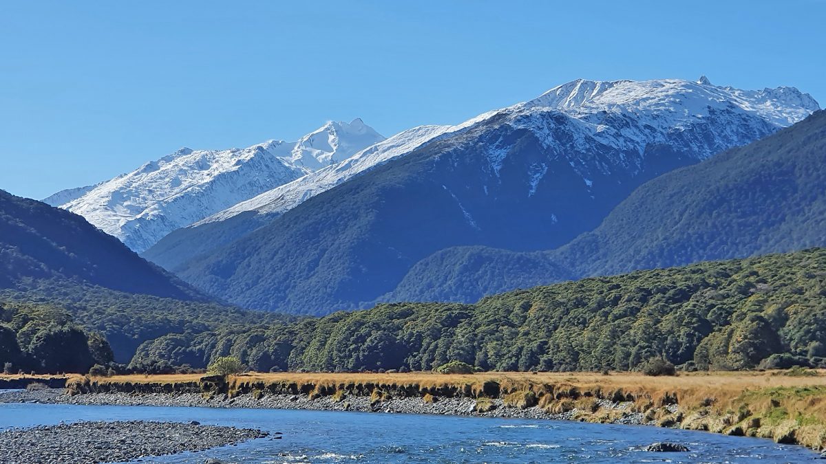 13 Day Deluxe Nature & Scenic Tour - South Island Tours: Tailor-Made ...